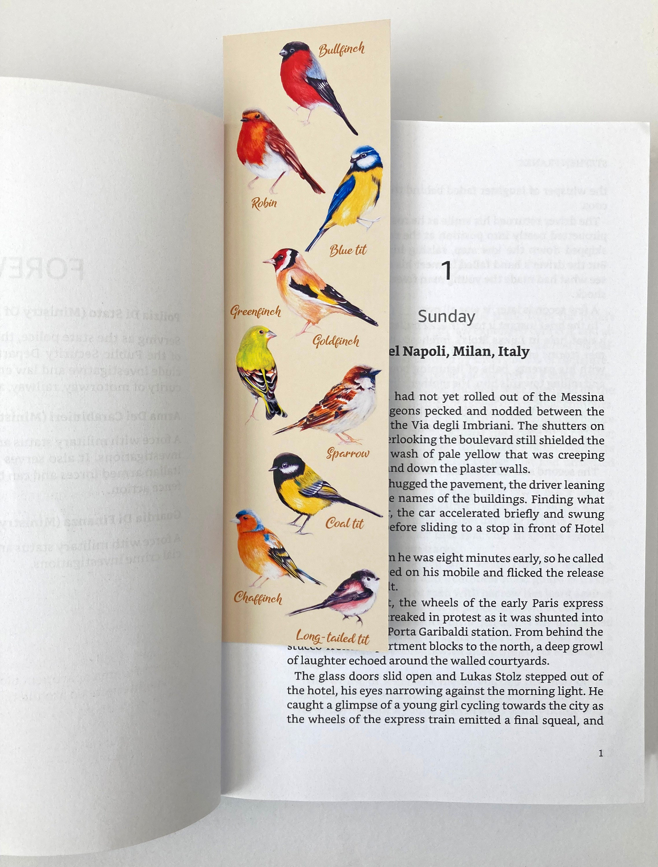 Printable Watercolor Bird Spotting Bookmarks Set of 4 - Etsy