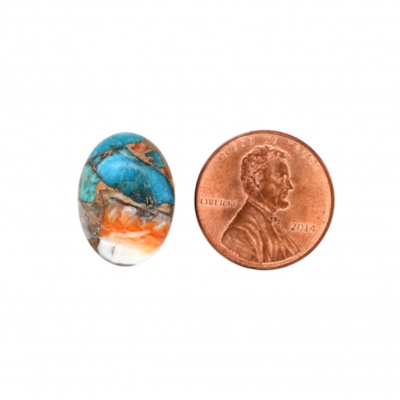 Copper Spiny Orange Oyster and Turquoise Cab Oval 18x13mm Approximately ...