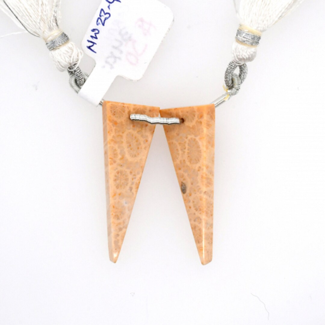 Fossil Coral Drops Trillion Shape 34x12mm Front to Back Drilled Bead ...