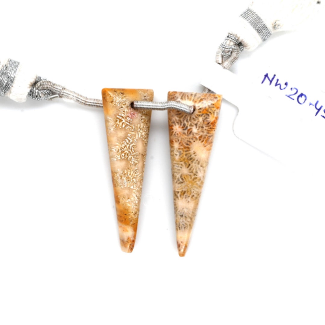 Fossil Coral Drops Trillion Shape 30x10mm Drilled Bead Matching Pair ...