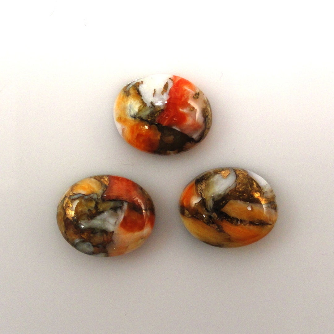 Copper Spiny Orange Oyster Cab Oval Shape 11x9mm Approximately 10 Carat ...