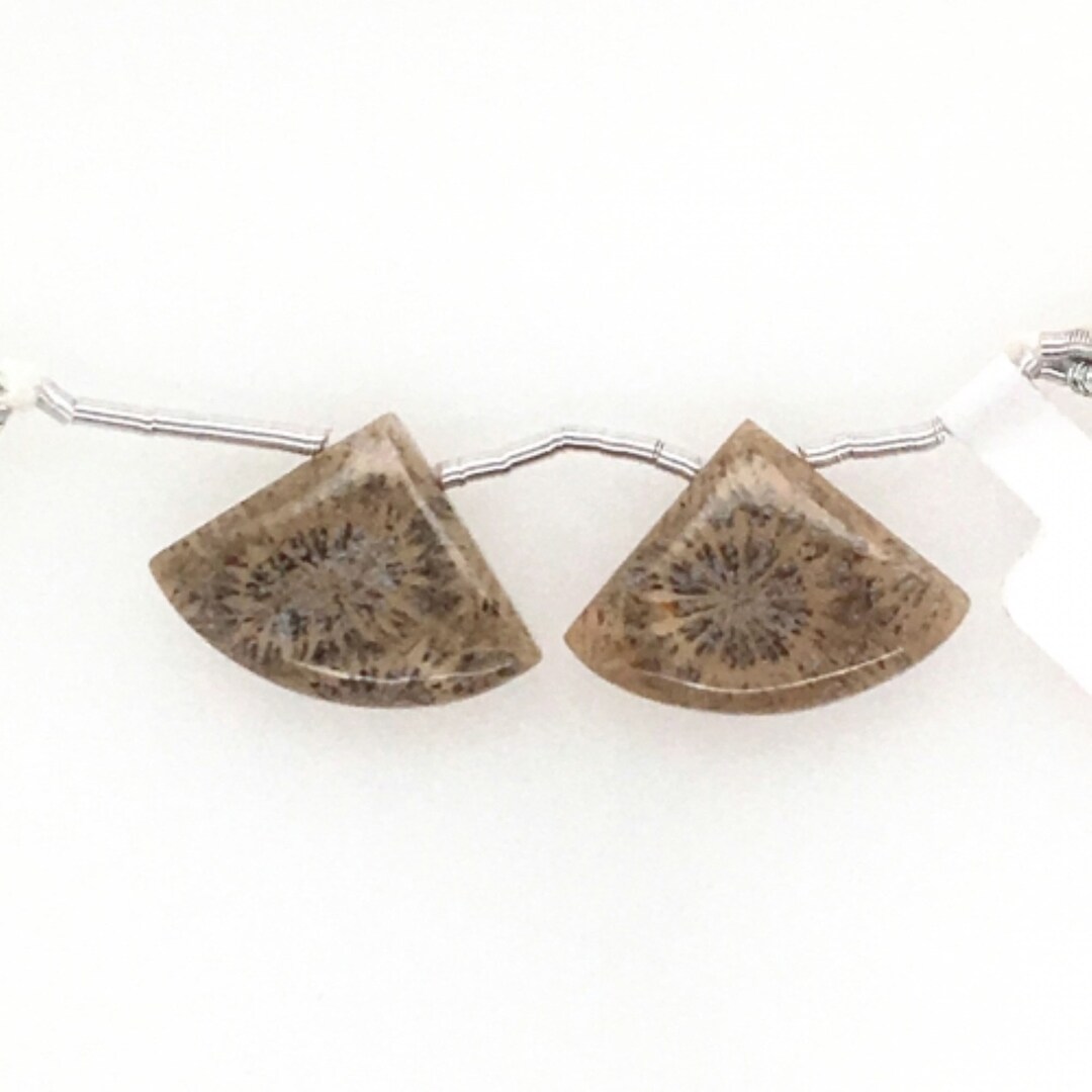 Fossil Coral Drops Fan Shape 16x22mm Drilled Beads Matching Pair ...