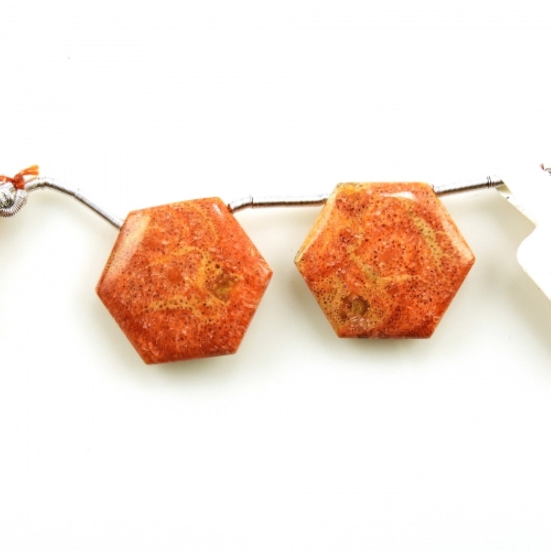 Sponge Coral Drops Hexagon Shape 19x19mm Drilled Beads Matching Pair ...