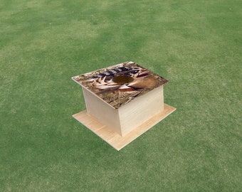 Cornhole Airmail Box - Etsy