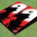 Custom Corn Hole Raven on a Tree Red Graphic Cornhole Boards - Etsy