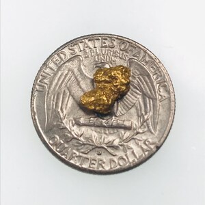 Natural California Gold Nugget / Micro Size 0.823 Grams / Gold Crystal ...