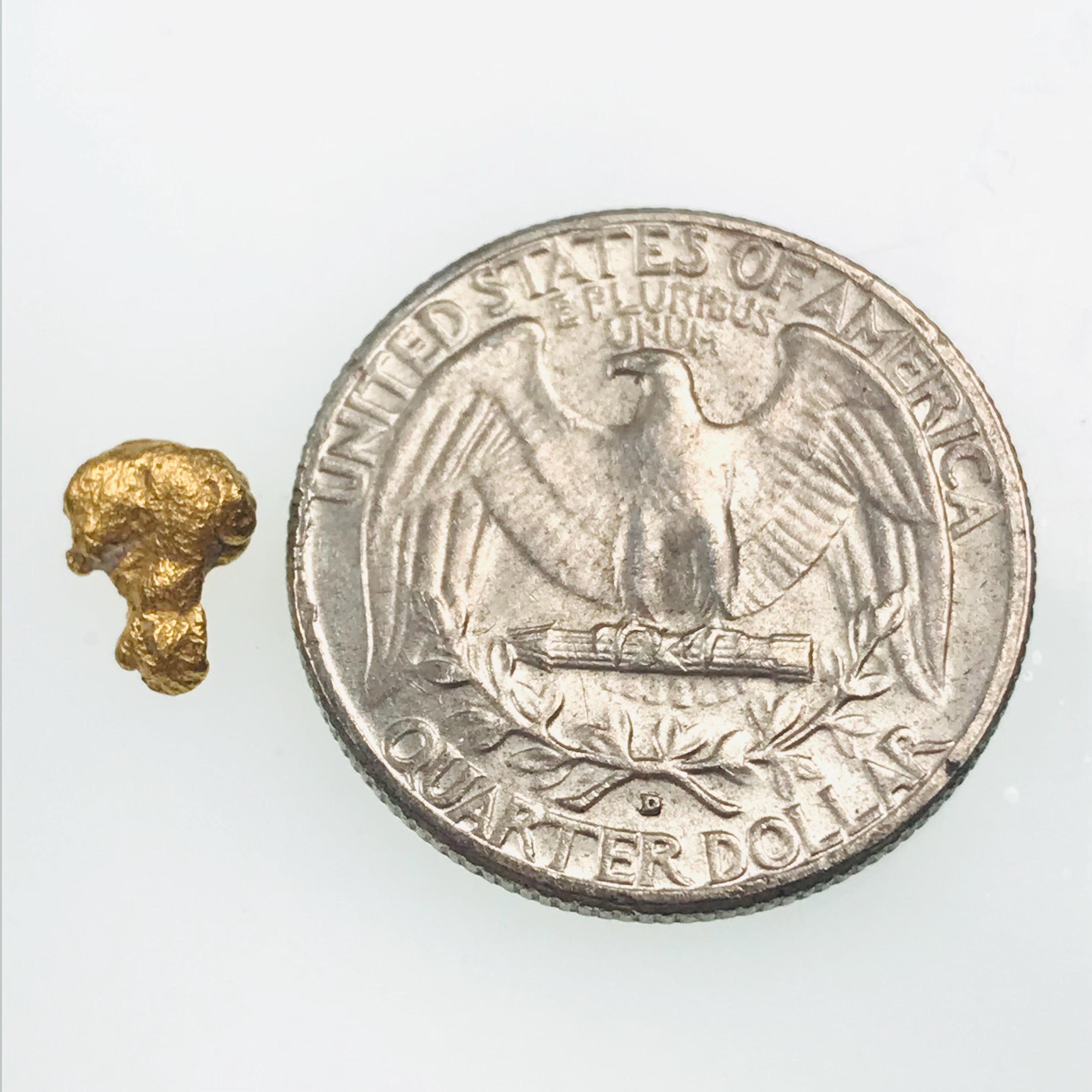 Natural California Gold Nugget / Micro Size 0.680 Grams / Gold Crystal ...