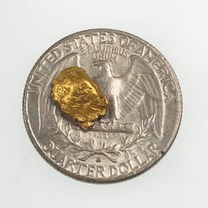 Natural California Gold Nugget / Micro Size 1.109 Grams / Gold Crystal ...