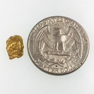 Natural California Gold Nugget / Micro Size 1.109 Grams / Gold Crystal ...