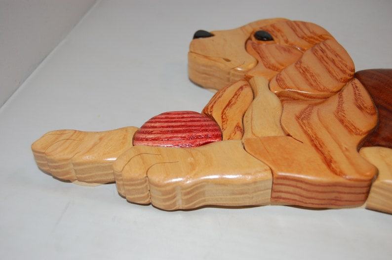 Beagle With Ball Intarsia - Etsy