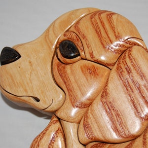 Beagle With Ball Intarsia - Etsy