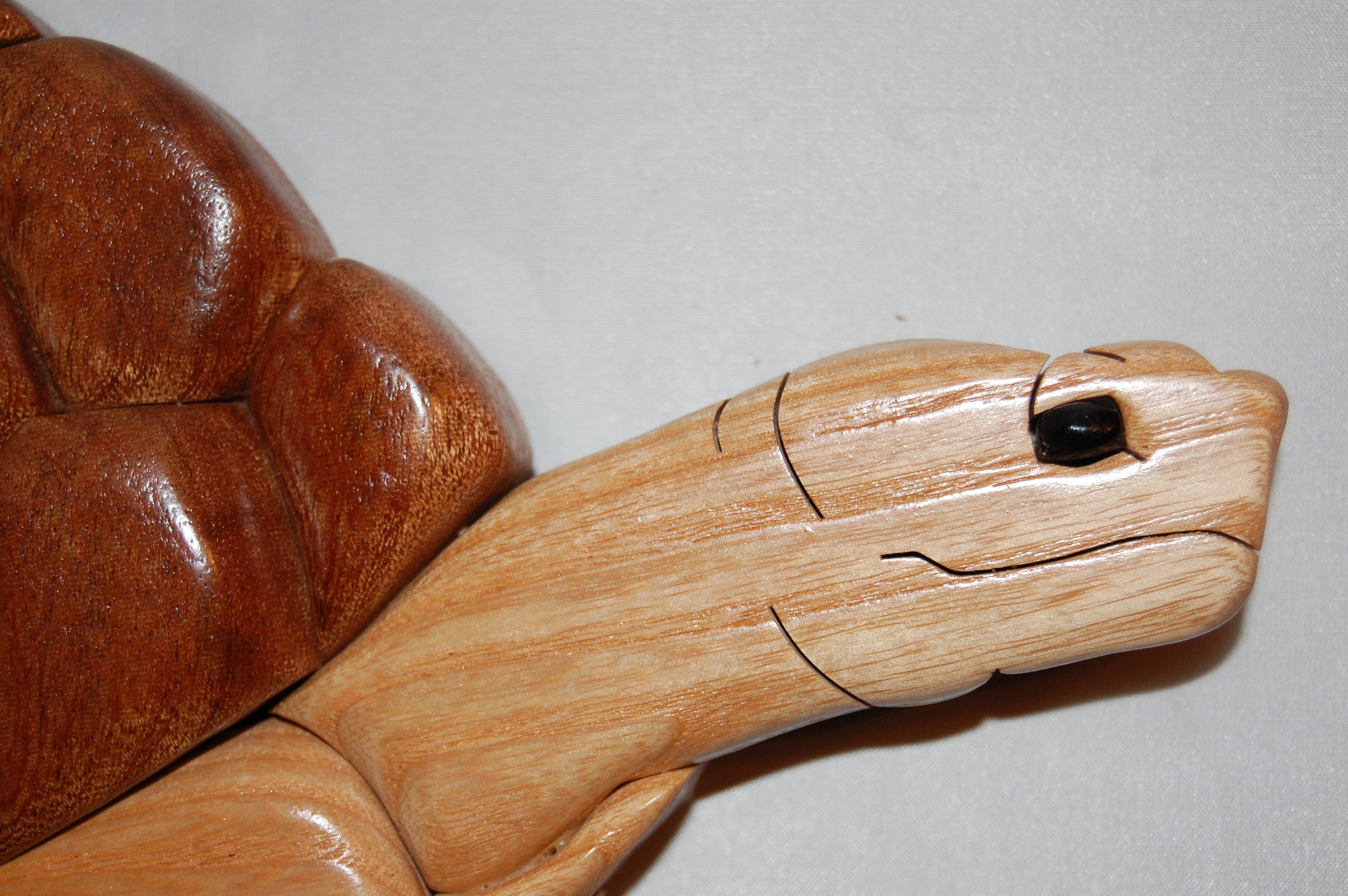 Tortoise Intarsia - Etsy