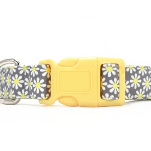 Daisy Dog Collar - Yellow Floral - Etsy