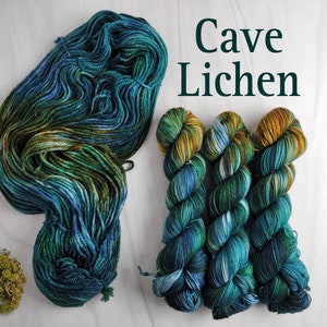 Cave Lichen - Hand Dyed Variegated Yarn- Choose Your Base - SW Merino ...