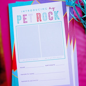 INSTANT DOWNLOAD Pet Rock Kit Printables Care Instructions Adoption ...