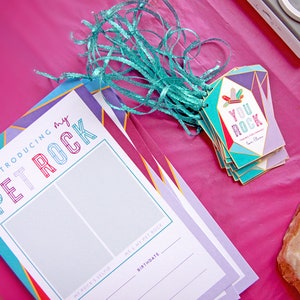 INSTANT DOWNLOAD Pet Rock Kit Printables Care Instructions Adoption ...