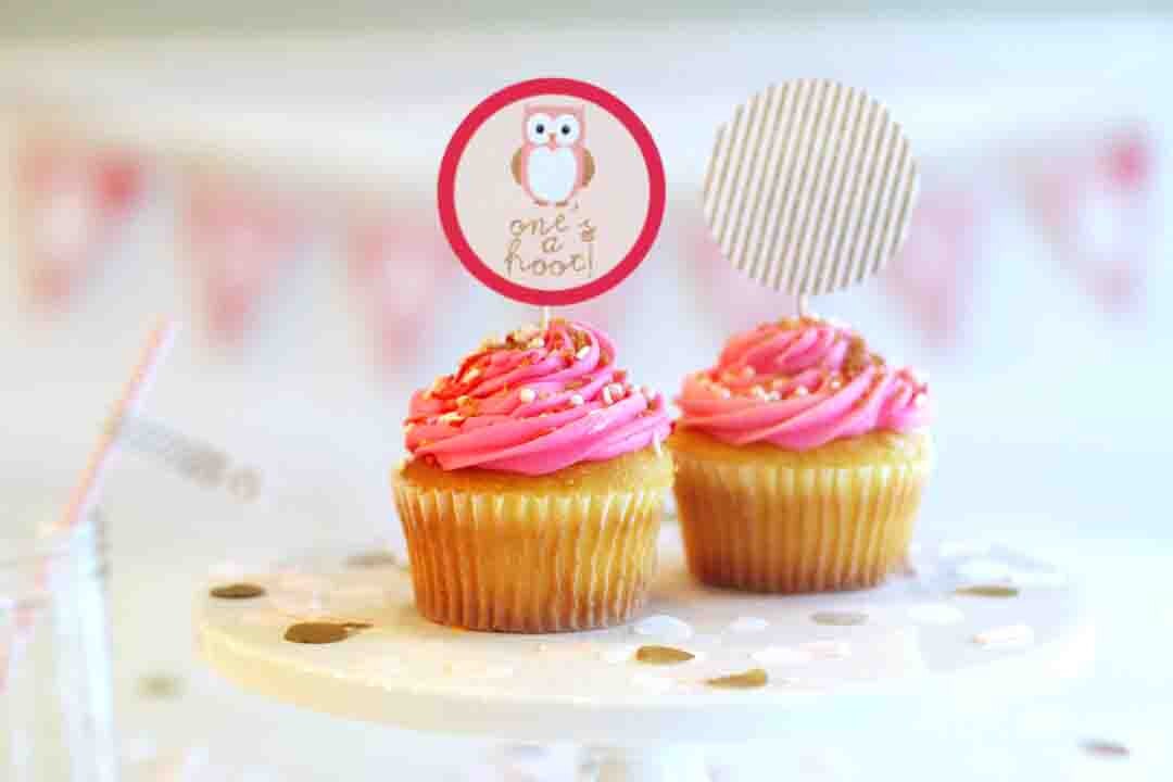Printable cupcake toppers Party circles Owl party Pink | Etsy