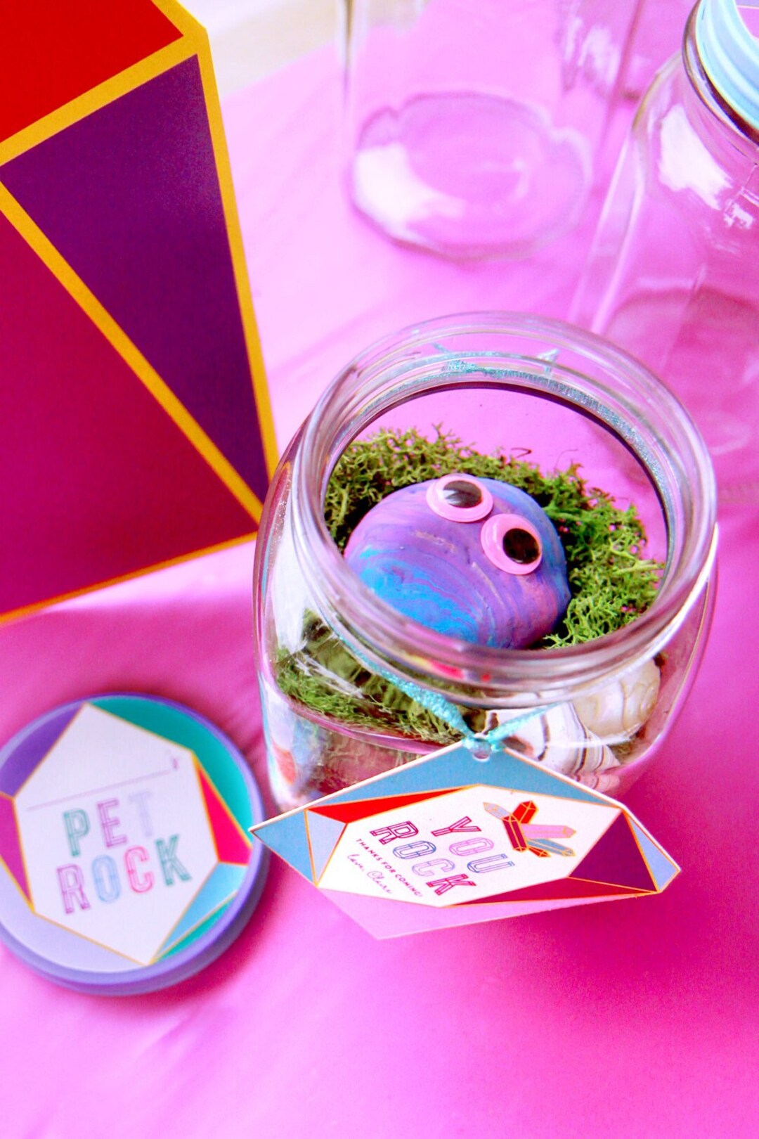 INSTANT DOWNLOAD Pet Rock Kit Printables Care Instructions Adoption ...