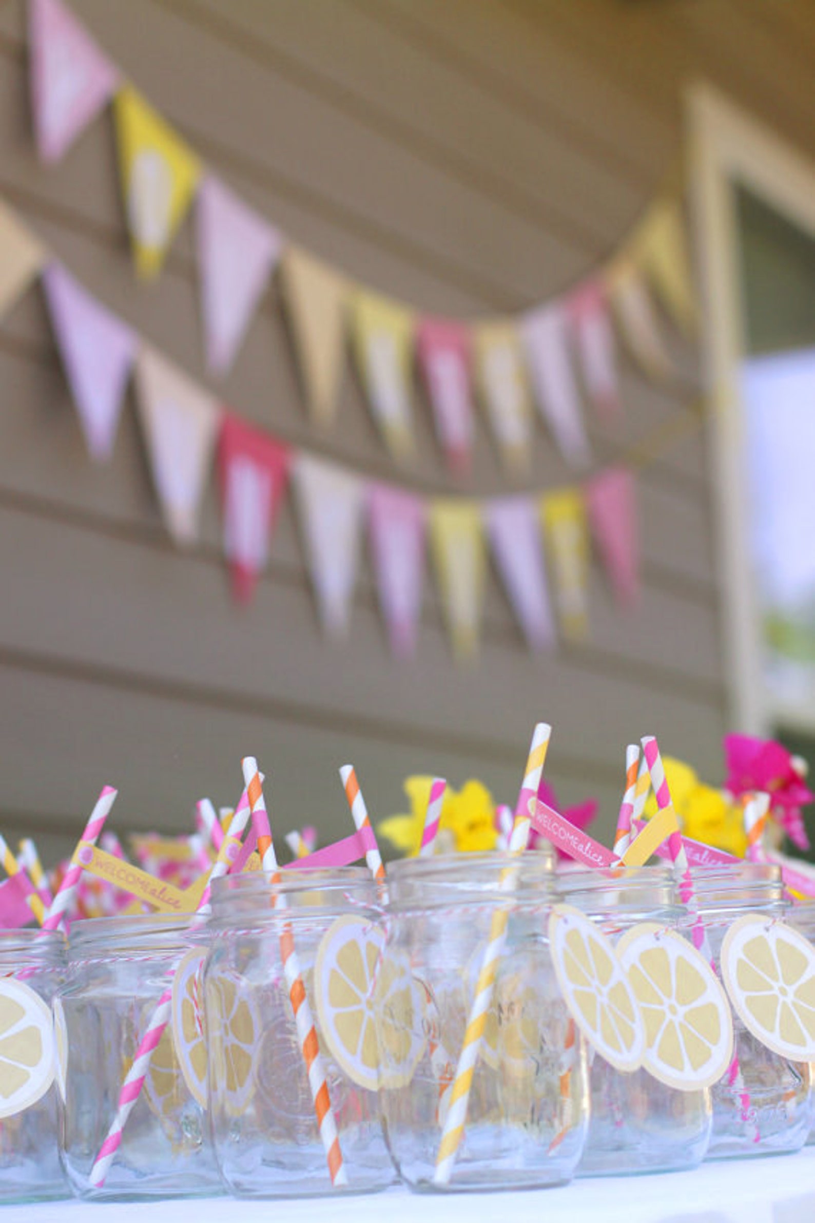 Printable Lemon Drink Tag Sunshine and Lemonade Party You - Etsy