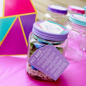 INSTANT DOWNLOAD Pet Rock Kit Printables Care Instructions Adoption ...