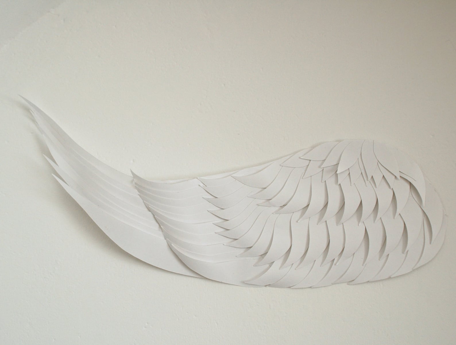 Wing Wall Art Paper Cutting Template (SVG) - Etsy