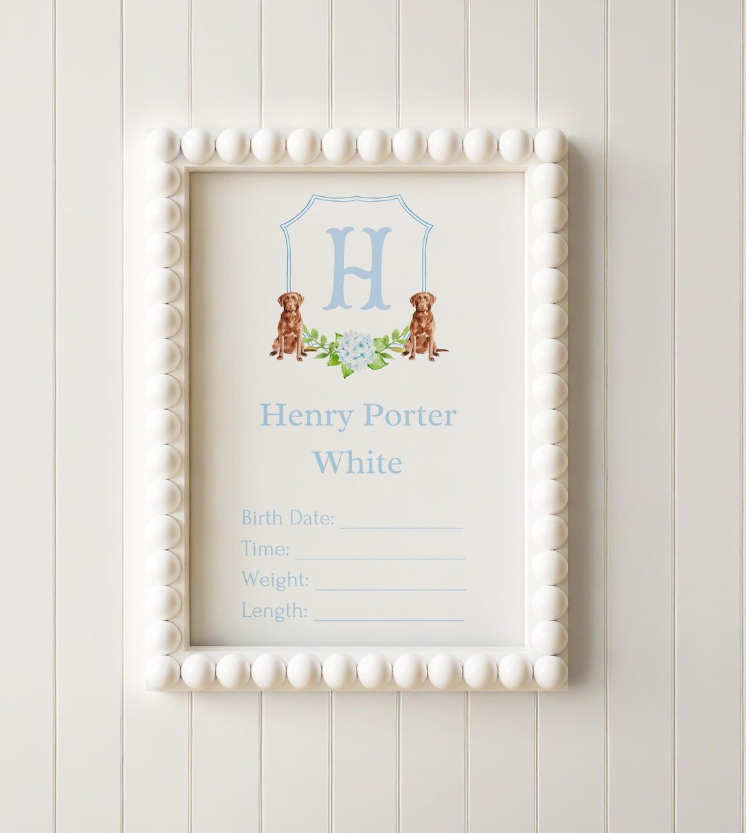 Baby Boy Hospital Sign | Birth Stats Announcement - Etsy
