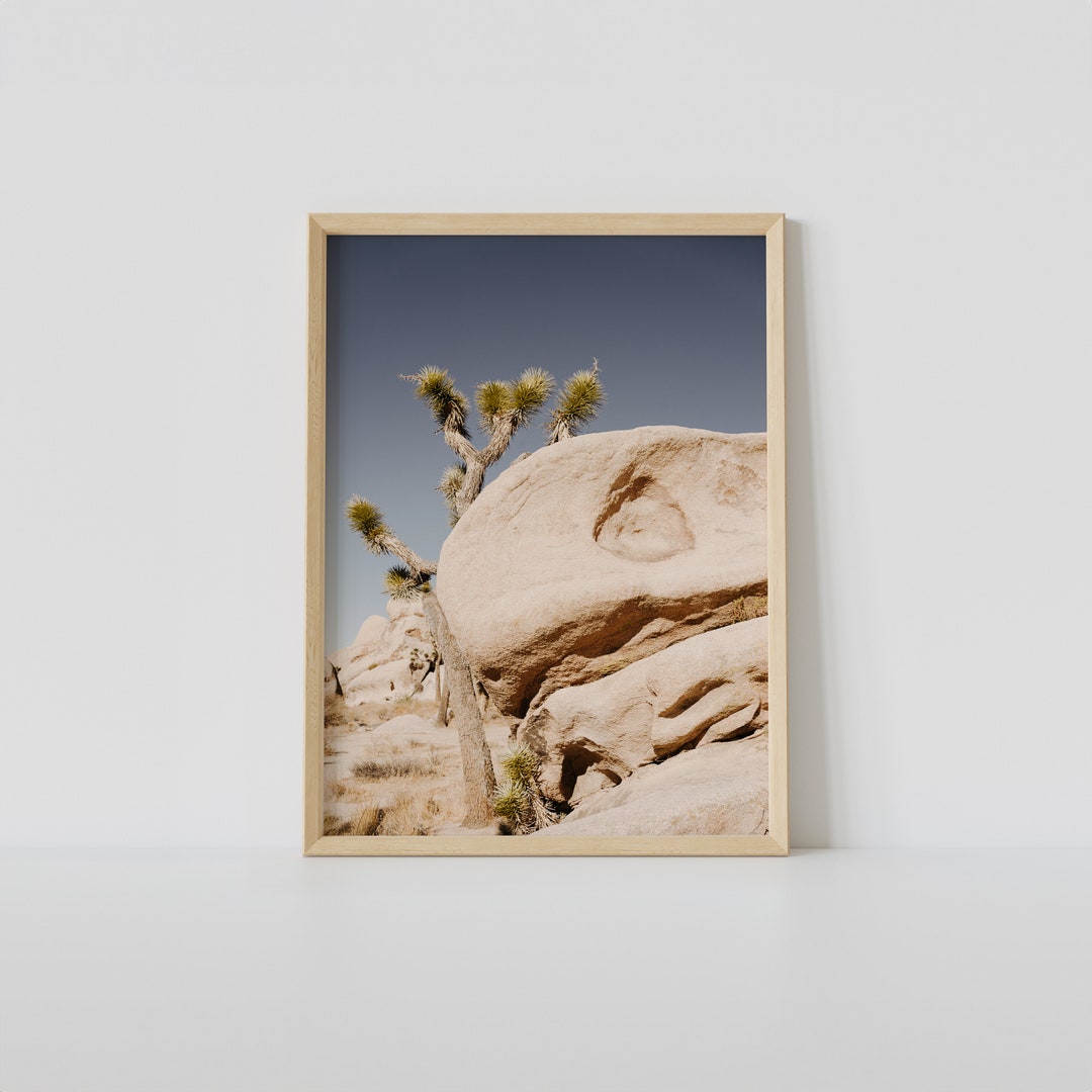 VERTICAL JOSHUA BOULDER, Joshua Tree National Park, Vertical Photo ...