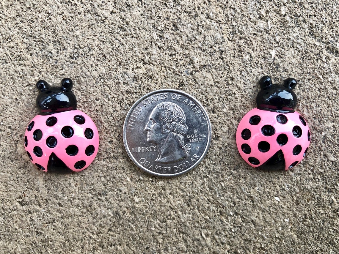 2 Lady Bug Resin Hair Bow Resins Ladybug Resin Pink Lady Bug - Etsy ...