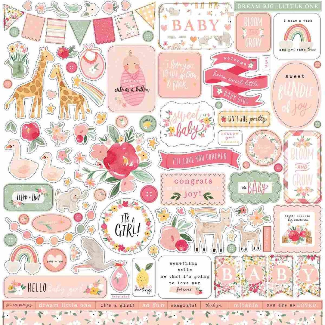 Welcome Baby Girl Element Stickers Echo Park - Etsy