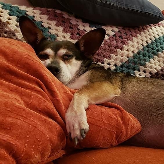 Custom Dog Block Print || Memorial Pet Portrait || Reduction Block ...