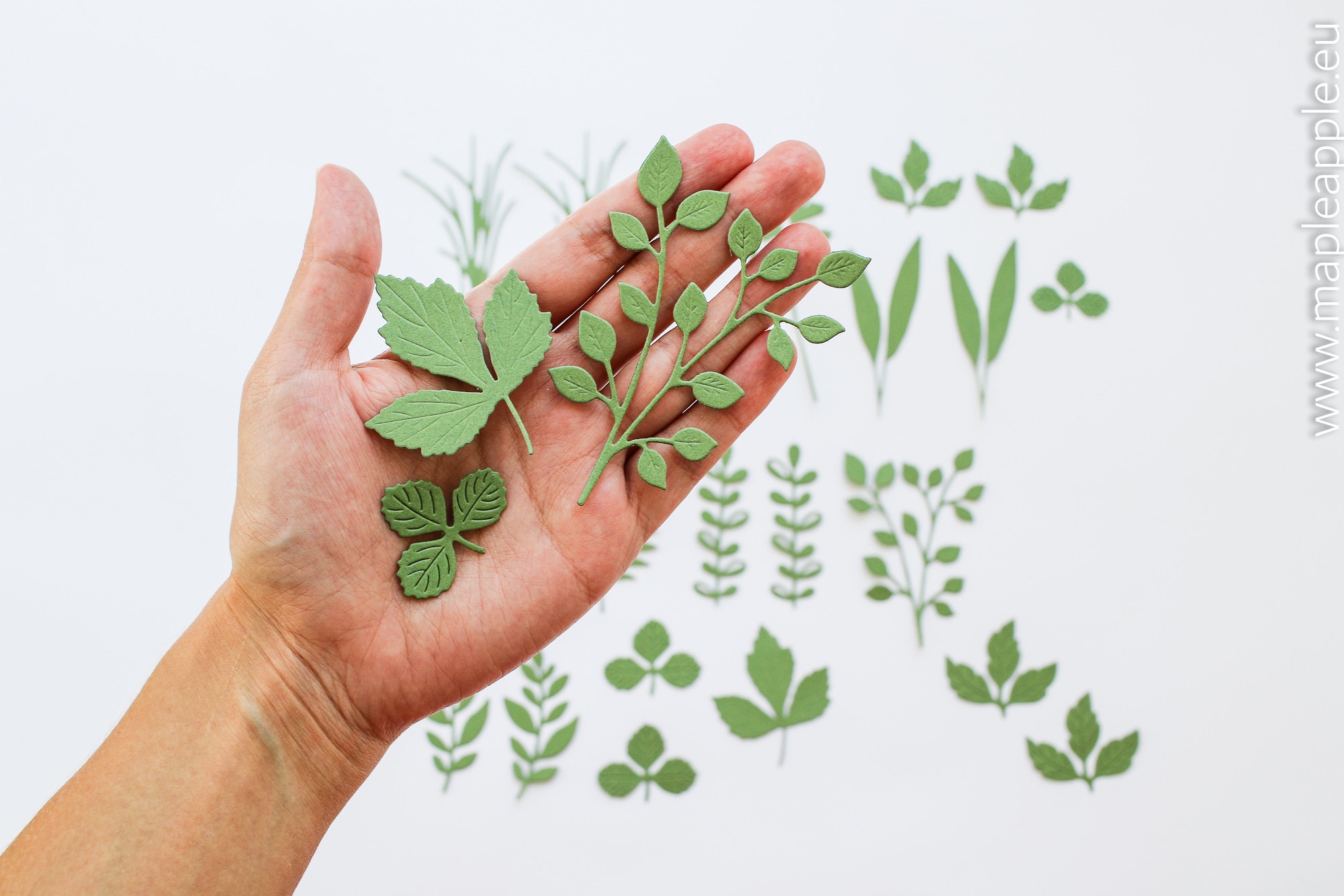 Leaf Shape Die Cuts for Cardmaking - Green Paper Leaves for Woodland ...
