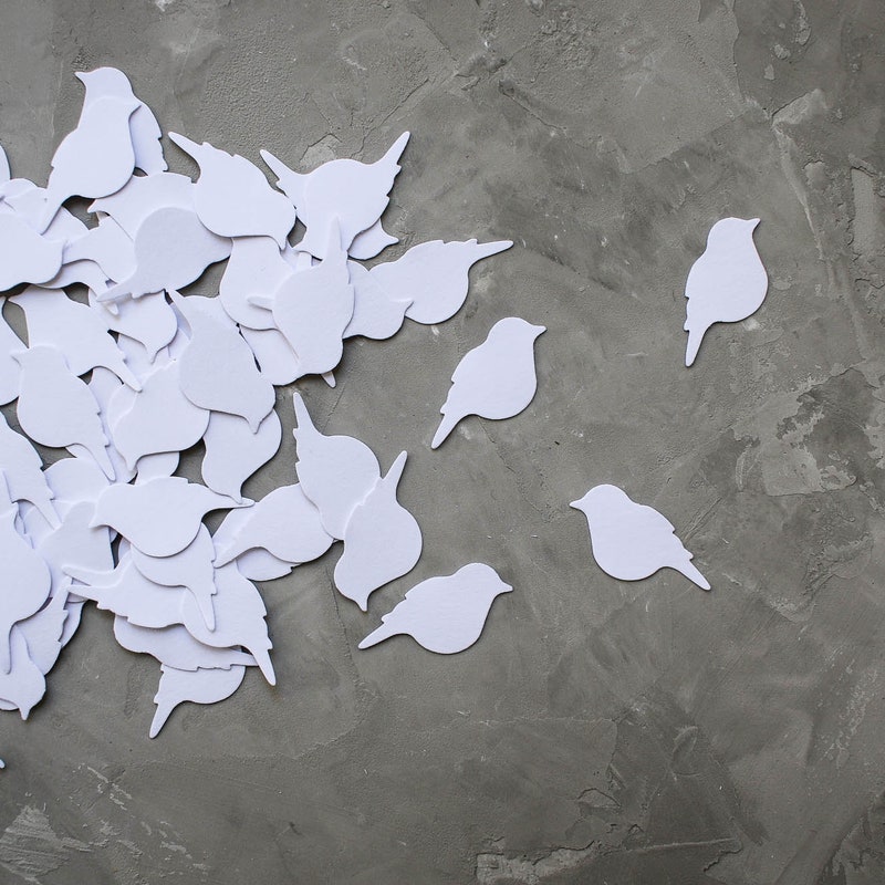 Bird Confetti - Etsy