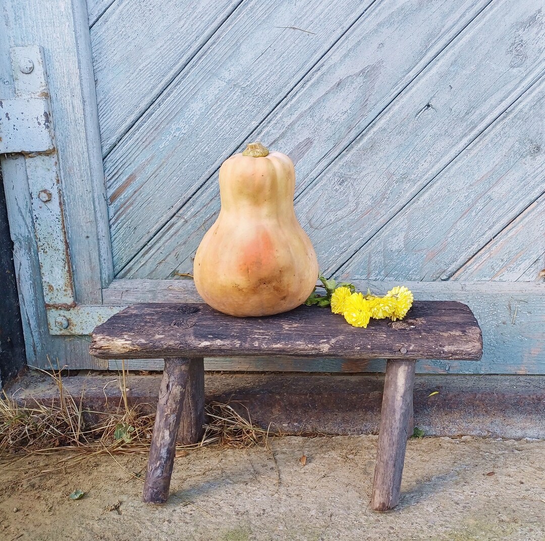 Primitive Milking Stool Small Bench Rustic Wood Bench Vintage Wooden ...
