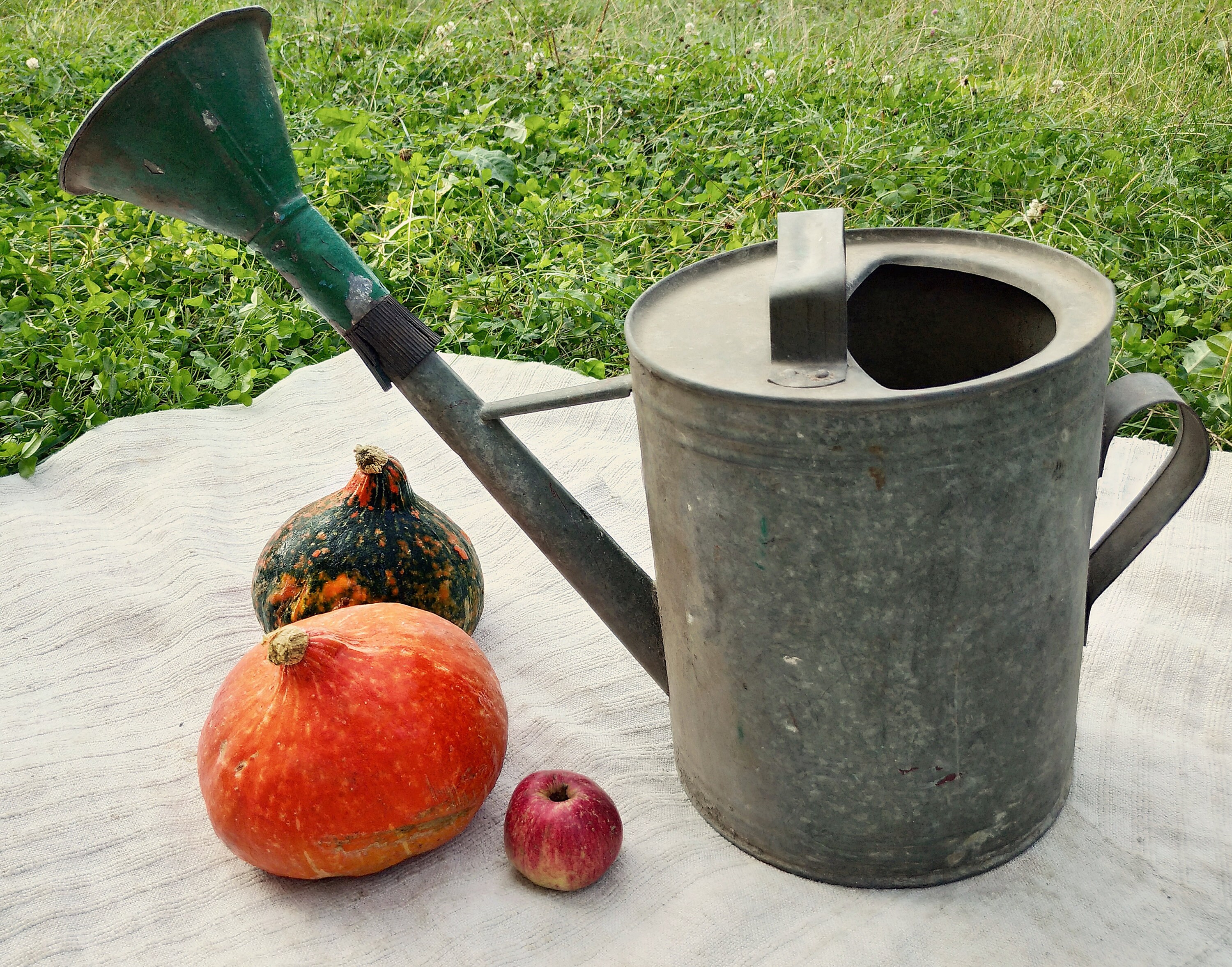 Large watering can Vintage garden decor Galvanized planter | Etsy