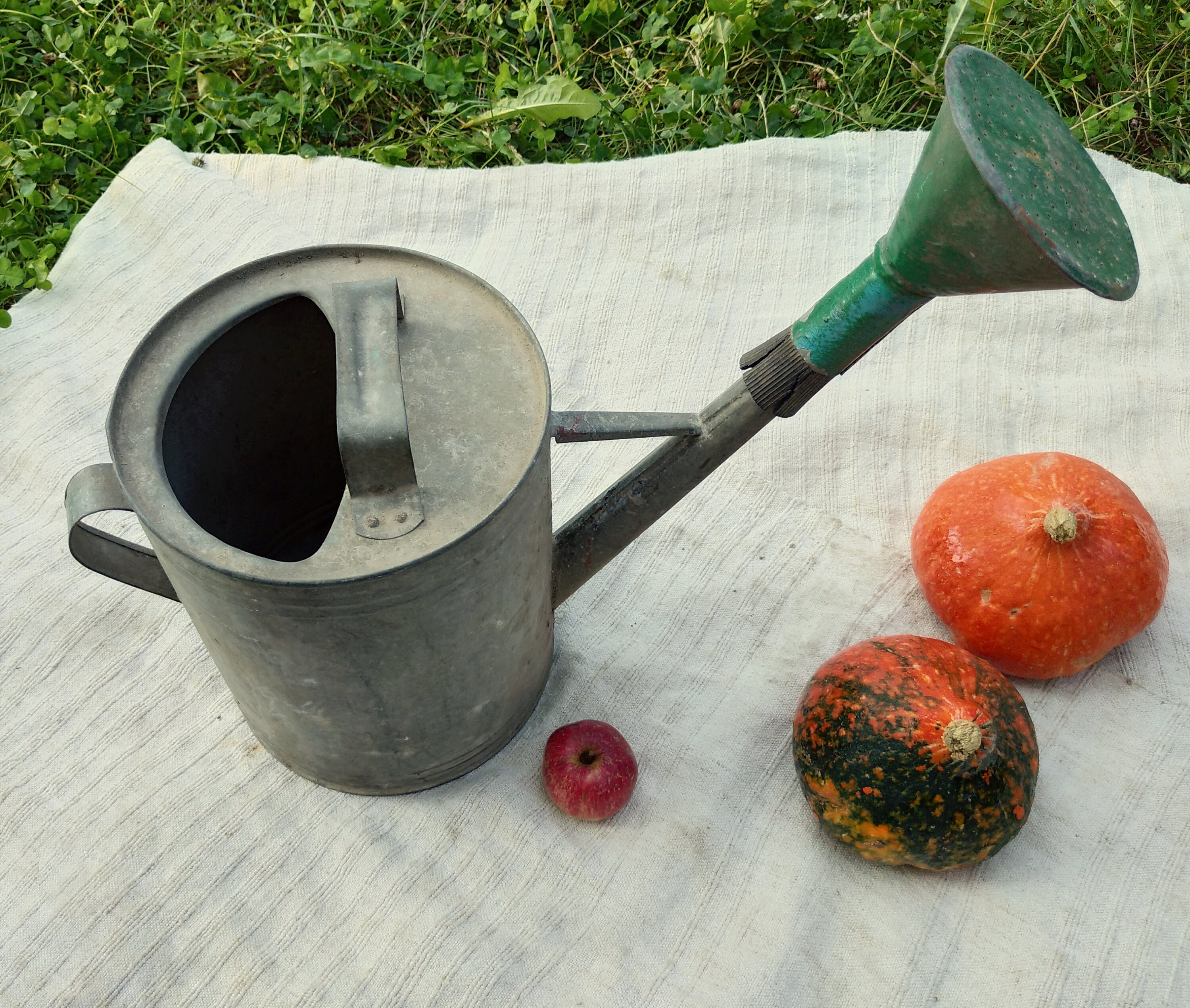Large watering can Vintage garden decor Galvanized planter | Etsy