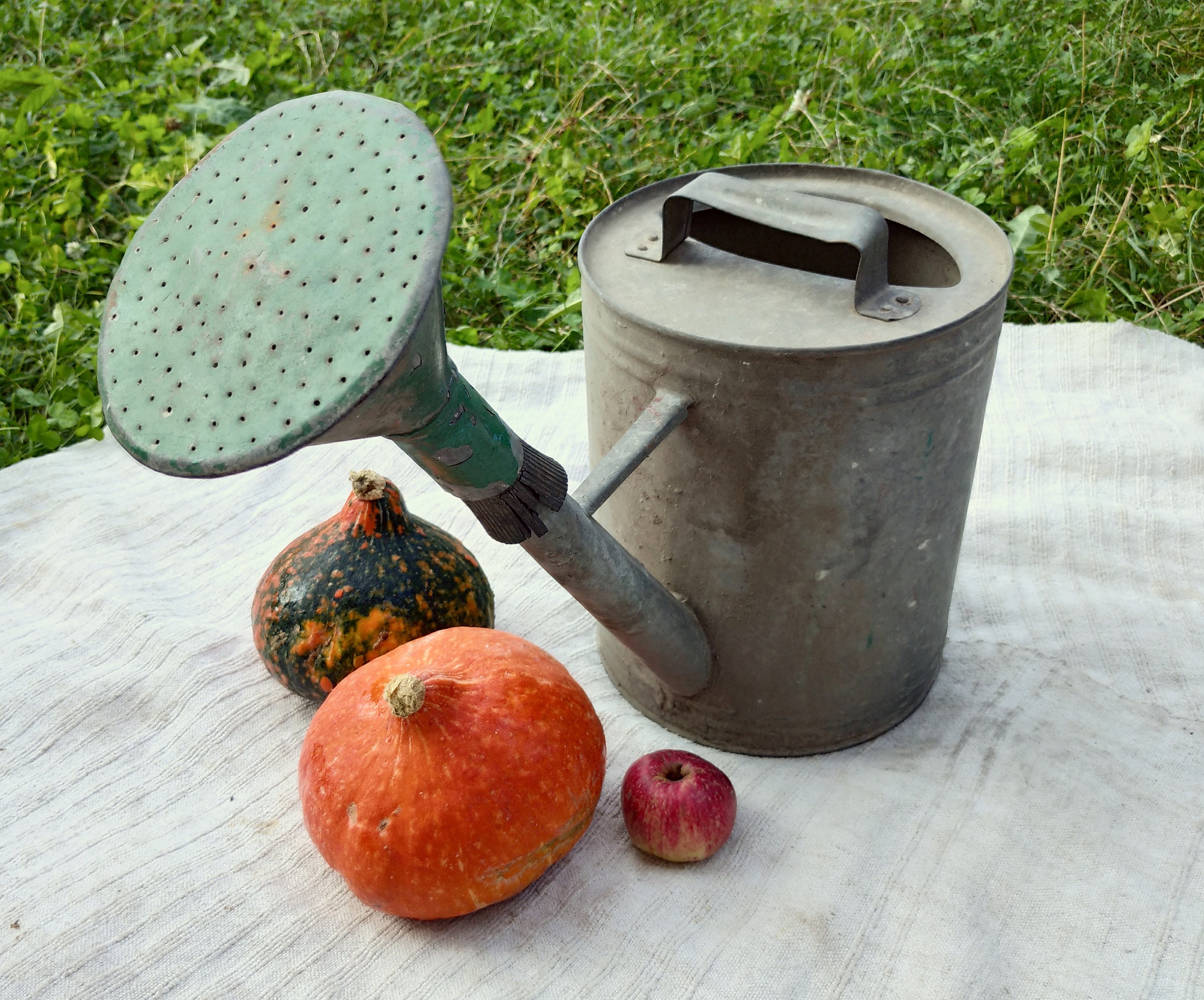 Large watering can Vintage garden decor Galvanized planter | Etsy