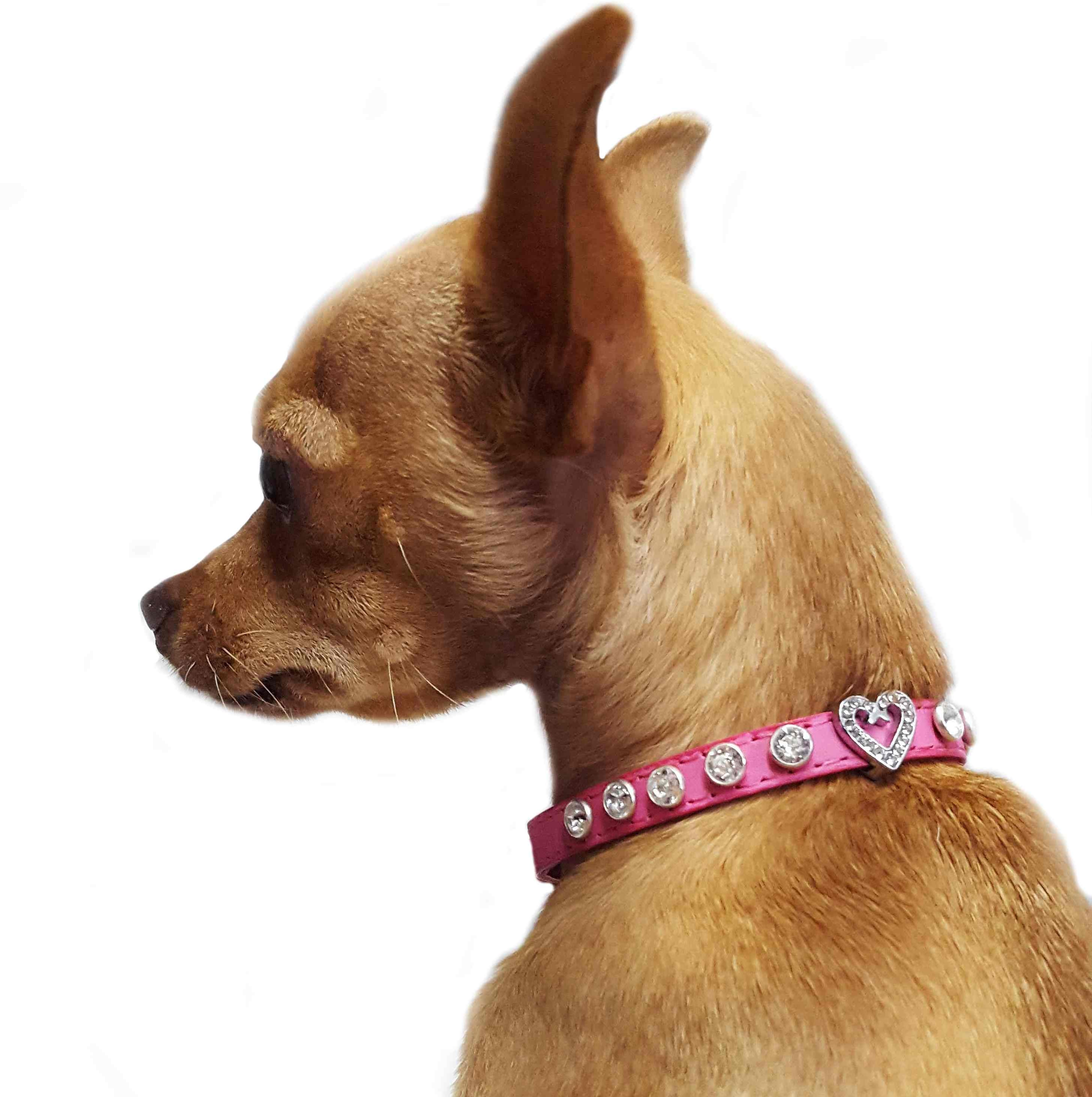 Fancy Leather Dog Collars Fancy Cat Collars with Rhinestone | Etsy