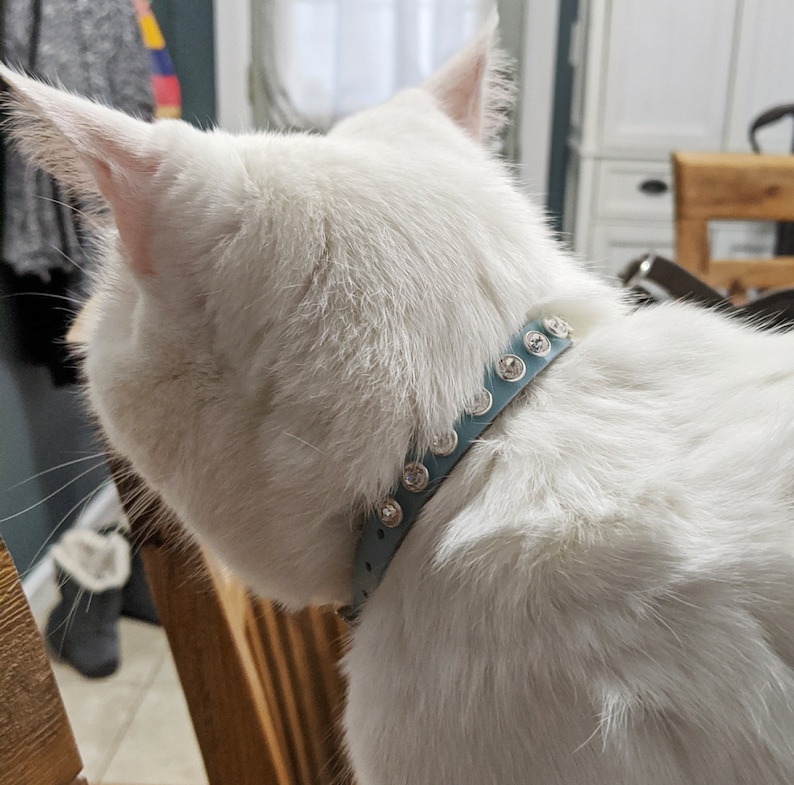 Leather Cat Safety Collars With Bell Fancy Breakaway - Etsy
