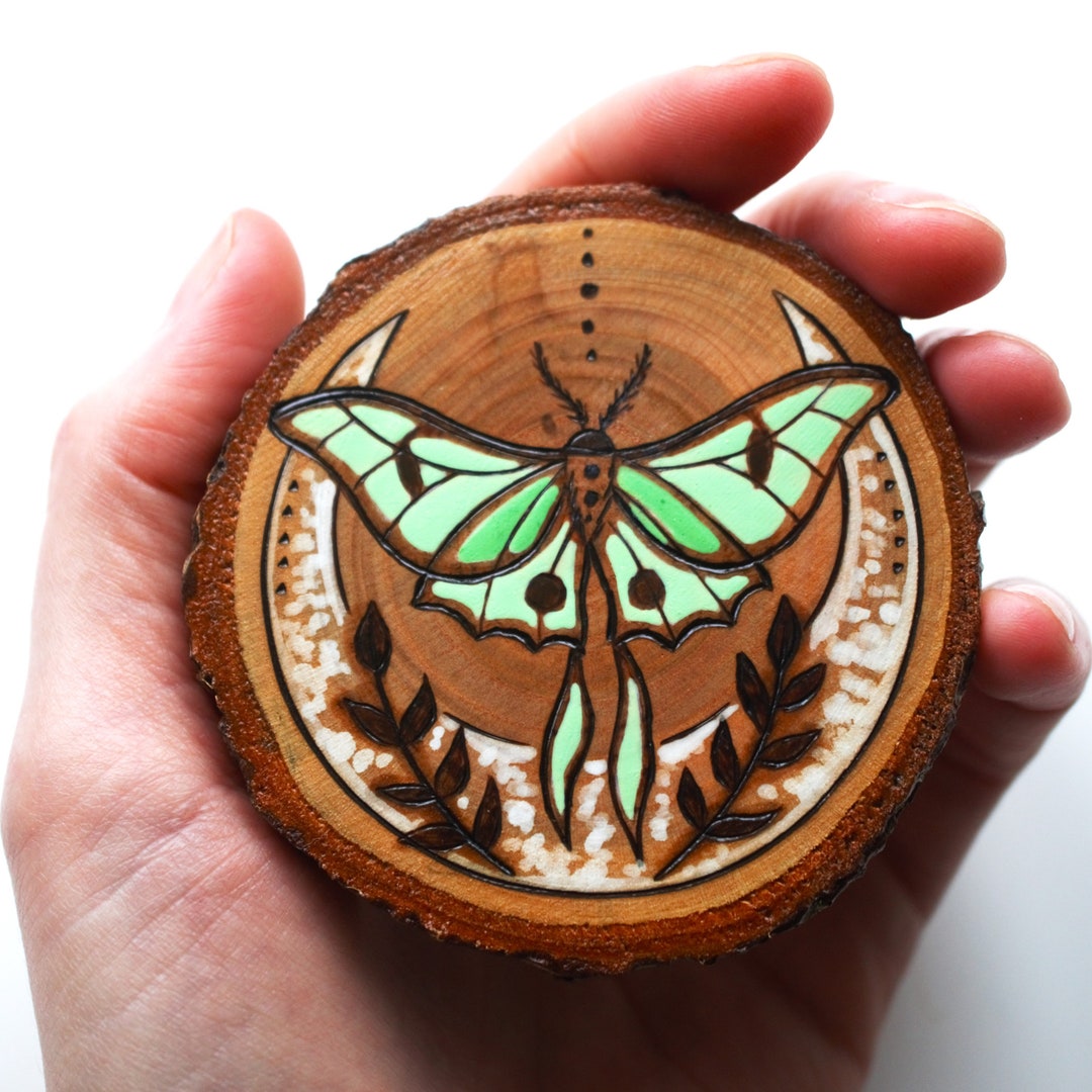 Luna Moth Wood Slice Original Art Pyrography Painting, Wooden Cottage ...