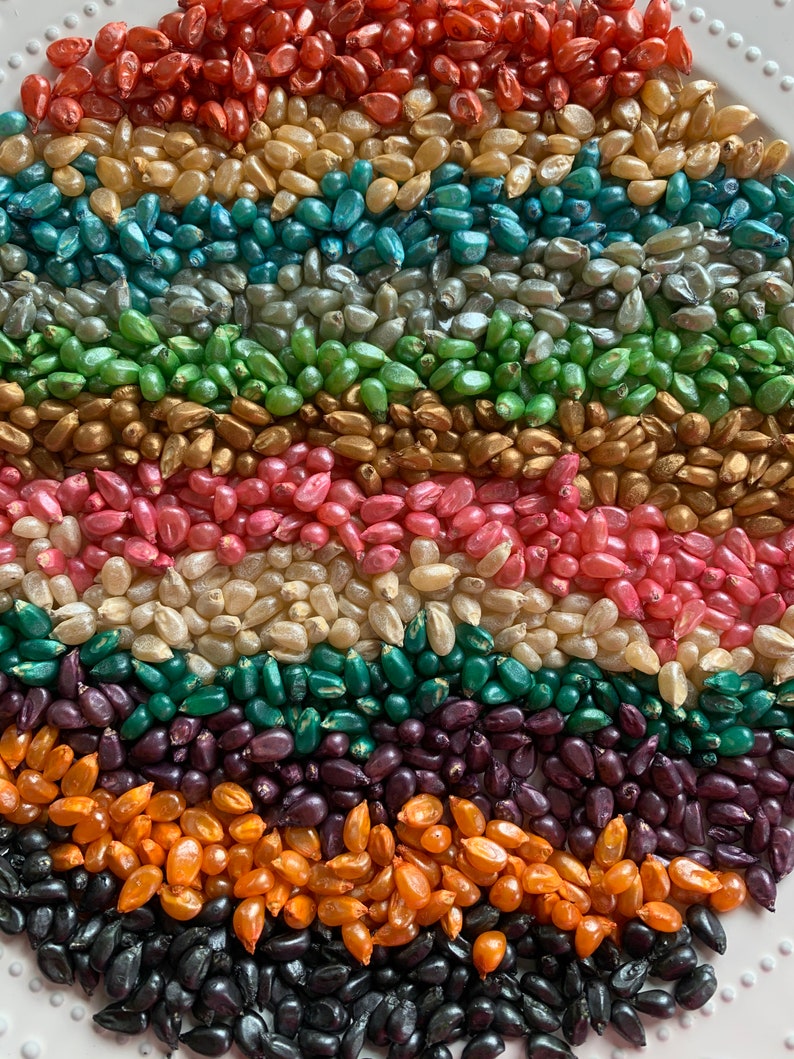 Holiday/colored Popcorn Seeds - Etsy