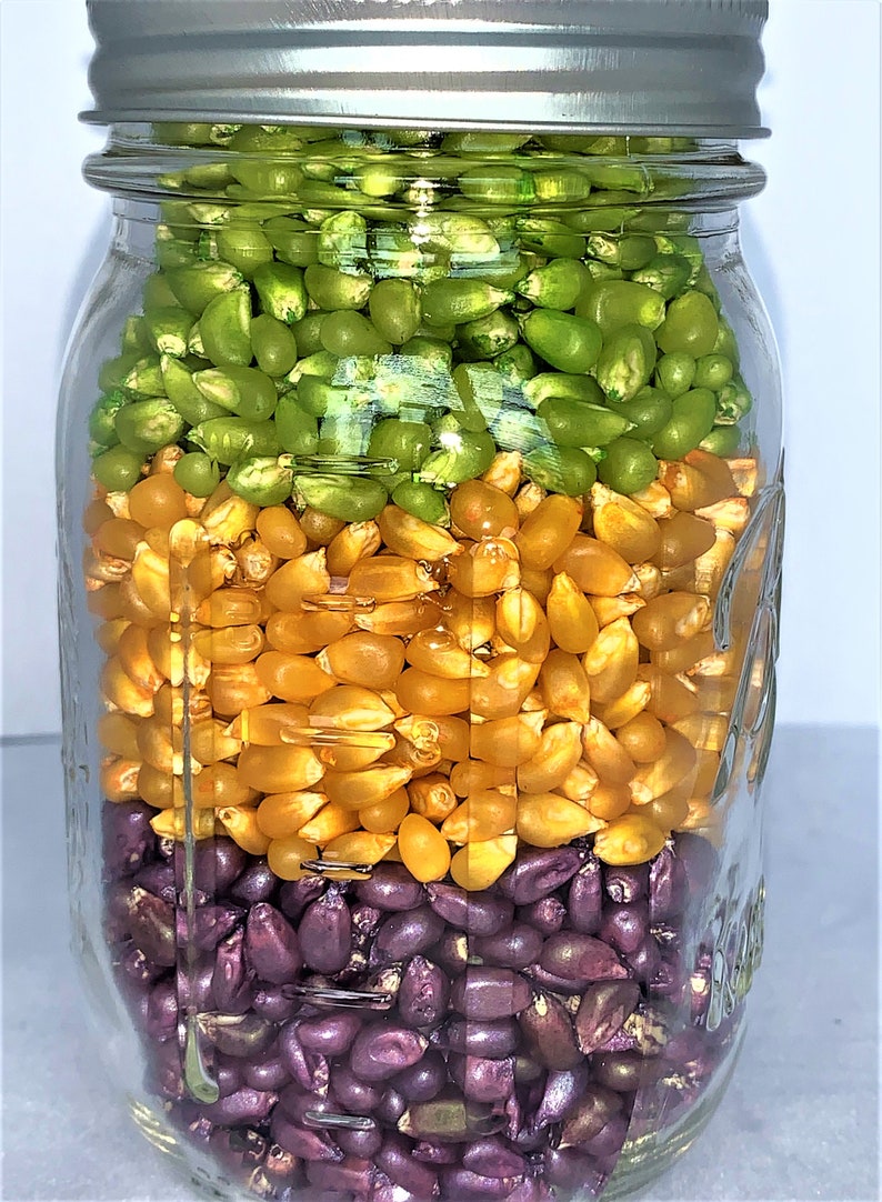 Mardi Gras Colored Popcorn Seeds - Etsy