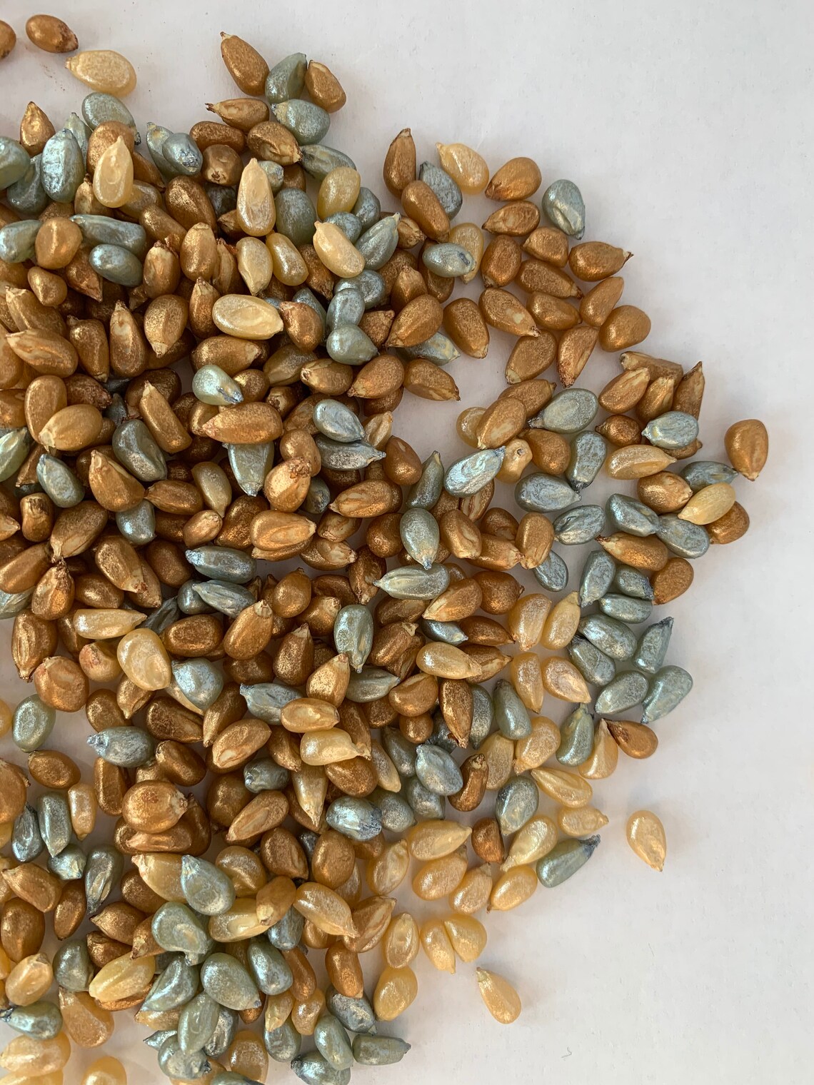 Metals Colored Popcorn Seeds - Etsy