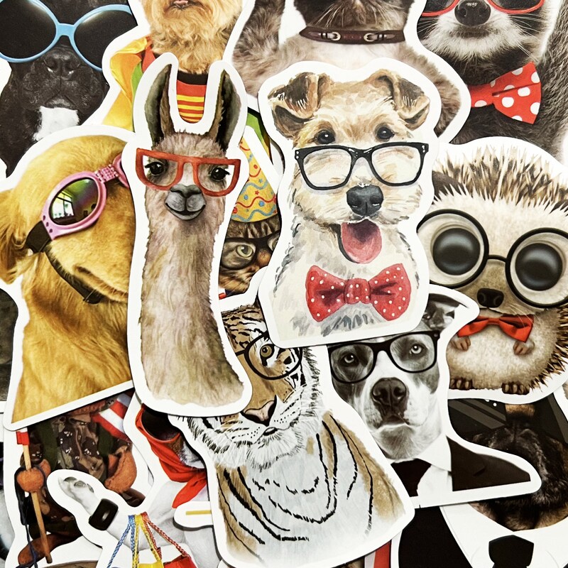 Funny Meme Glasses - Etsy