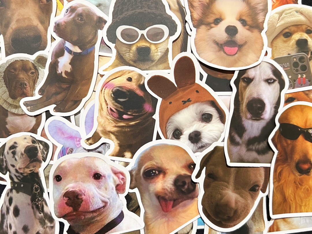 50 Dog Meme Stickers Doggo Faces Funny Dogs - Etsy