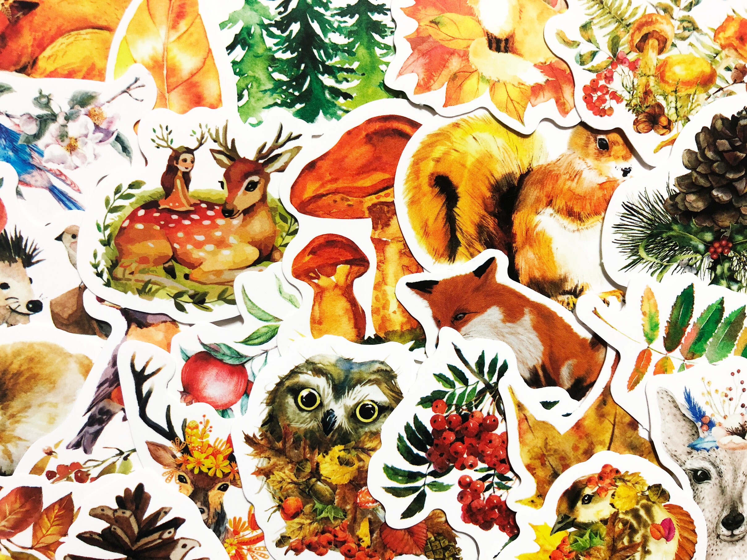 20 Random Planner Stickers Pack for Decoration | Etsy