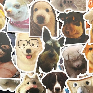 50 Dog Meme Stickers Doggo Faces Funny Dogs - Etsy