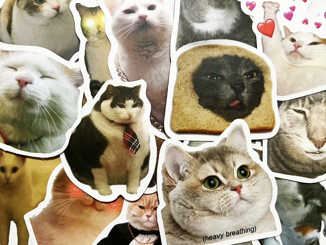 10-50 Cat Meme Stickers Kitty Faces Cute Cats - Etsy