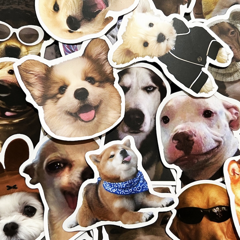 Dog Meme Faces - Etsy