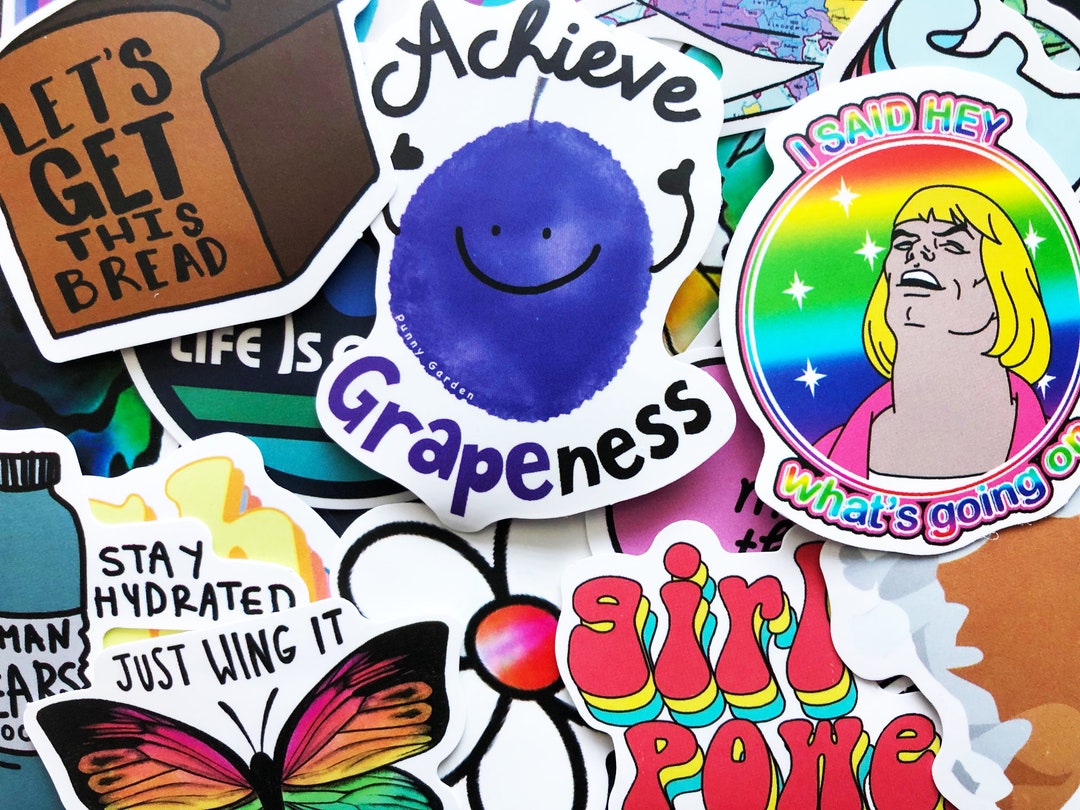 50 Fun Colorful Assorted Meme Stickers Set DIY Set Decals - Etsy