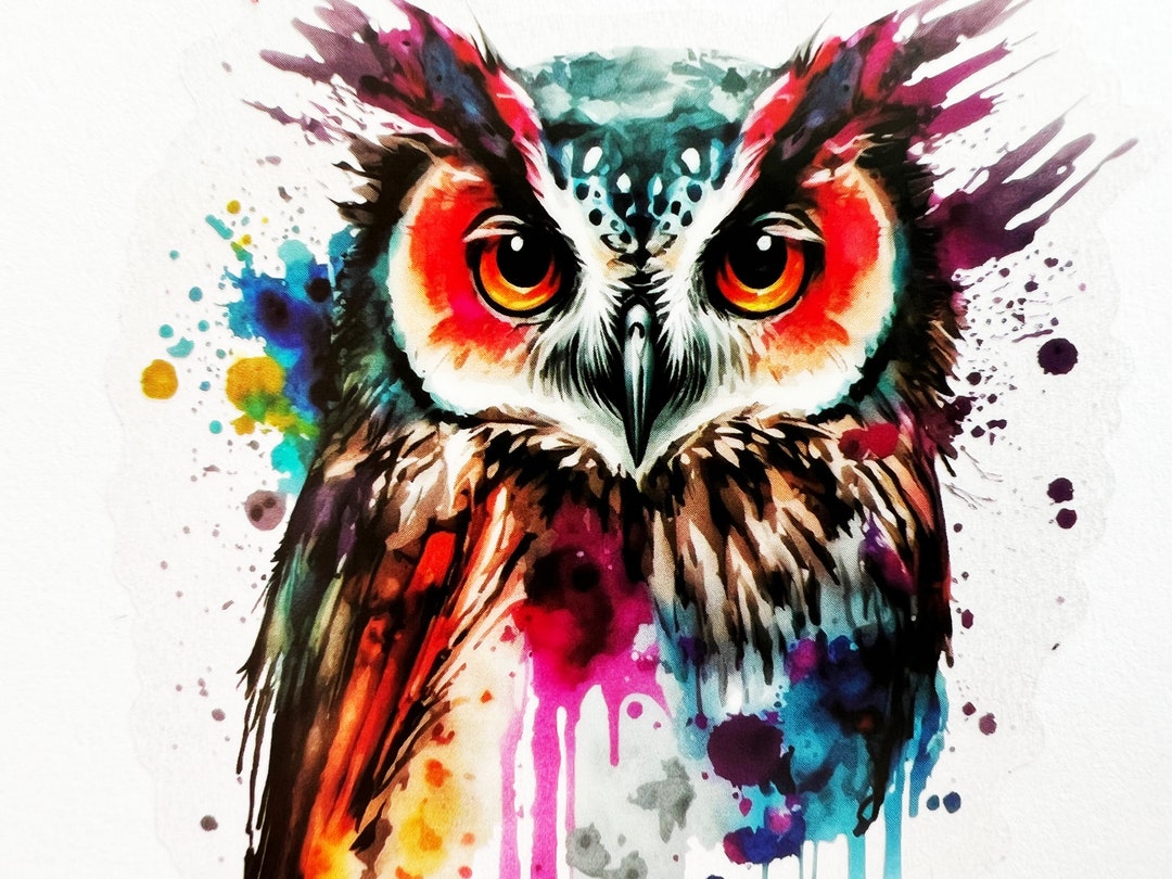 Snow Barn Owl 3 Inch Transparent Sticker - Etsy